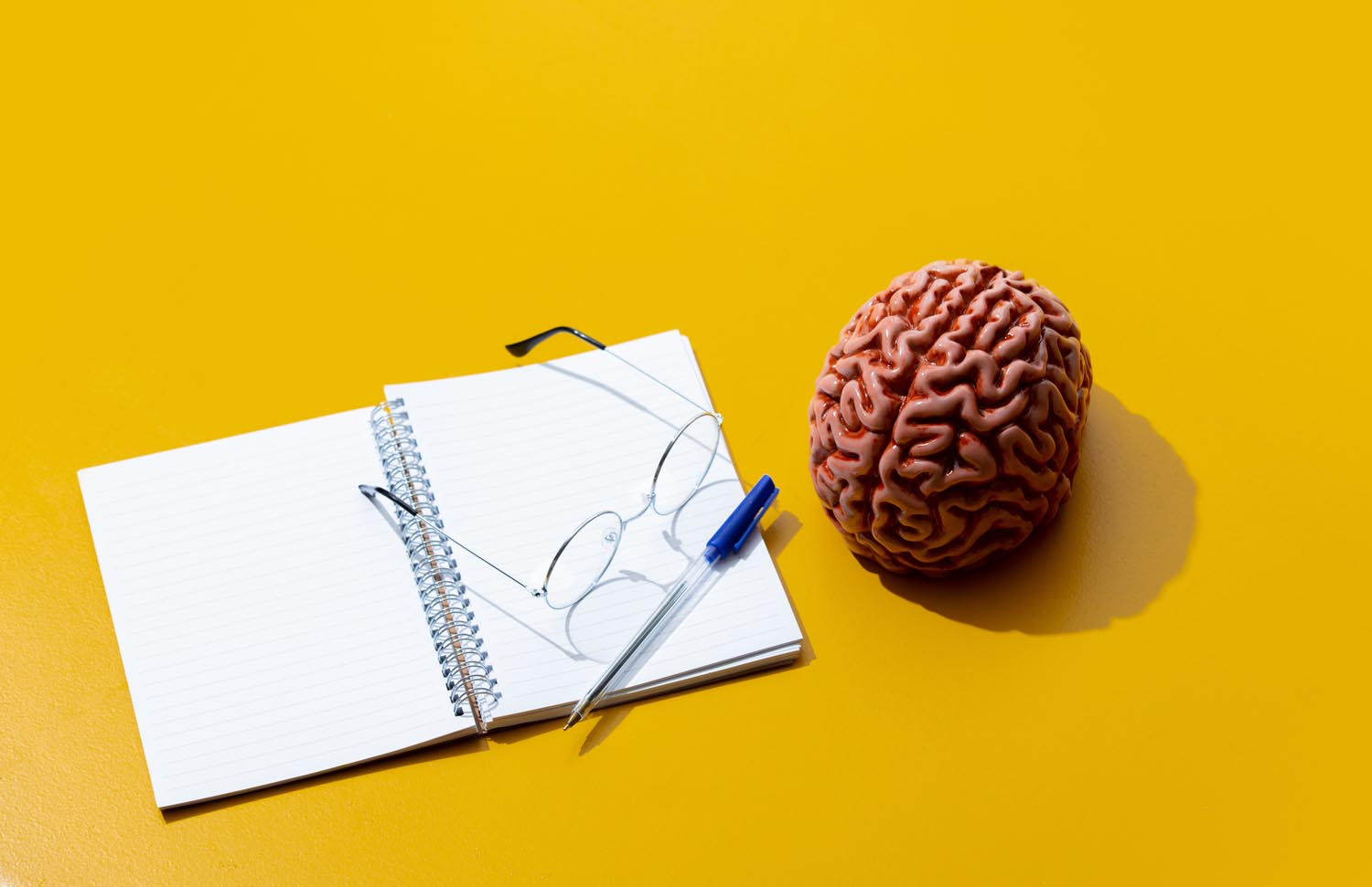 Training Brain Mapping Basics | Neurohealth Associates